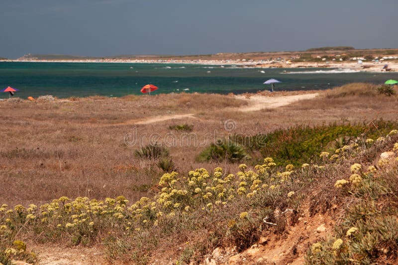 Beach in is Arutas. Sardinia, Italy Stock Image - Image of ...