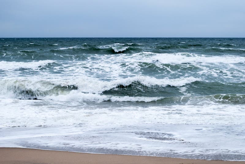 Cape Cod in November stock photo. Image of brown, branch - 103143664