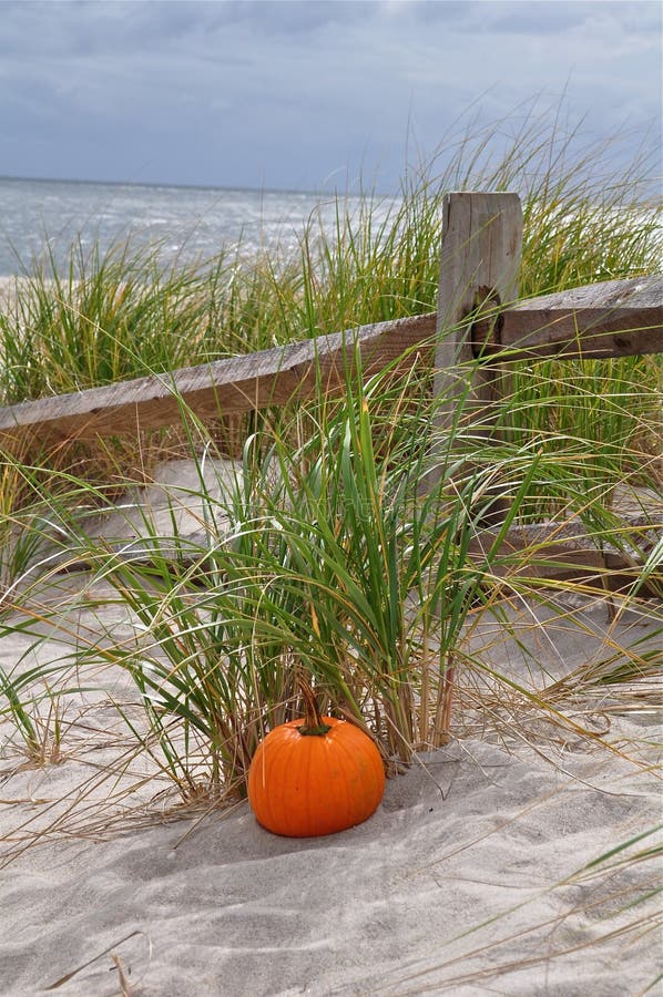 The Beach in Autumn stock photo. Image of chilly, gray - 20436724