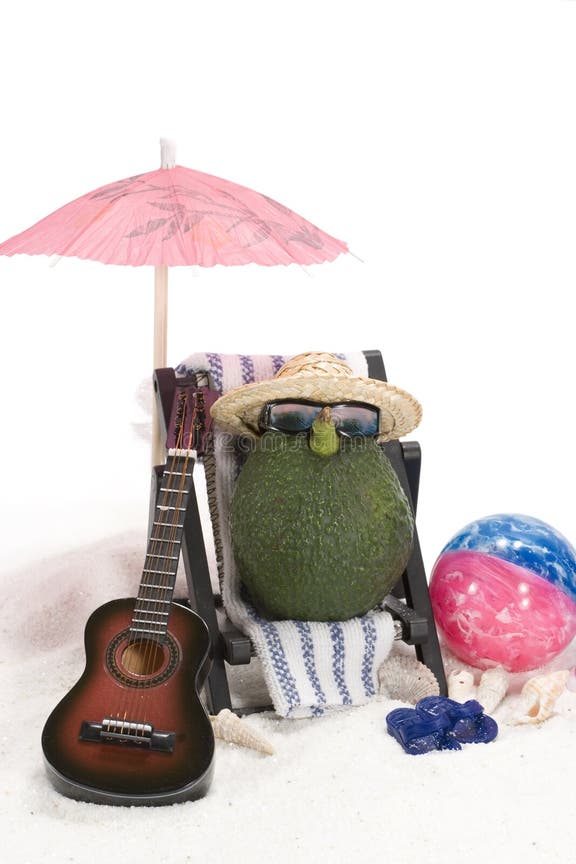 Beach Avocado stock photo. Image of marilyngould, avocado - 14208836