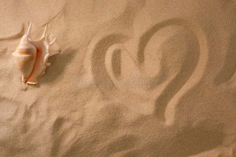 Beach Background with Sea Shell. the Concept of Rest. View from Above ...