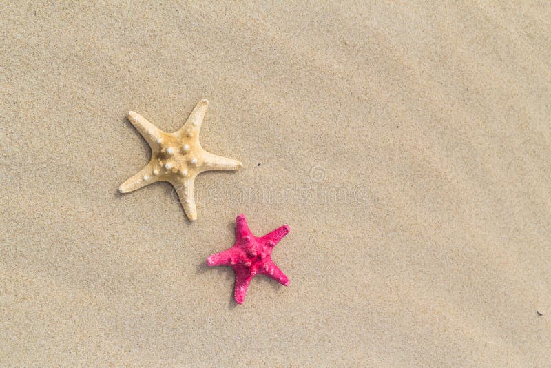 Beach Background Top View Sea Shells Stars Stock Photo - Image of ...