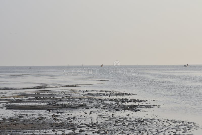 Beach Backwater Mud, Mud Background and Backdrops Stock Image - Image ...