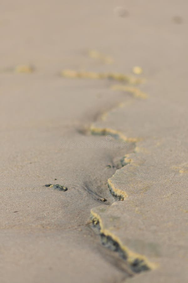 Beach Backwater Mud, Mud Background and Backdrops Stock Photo - Image ...