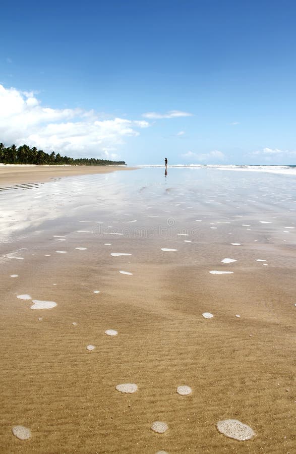 Beach of Bahia stock photo. Image of vacation, nature - 21256414