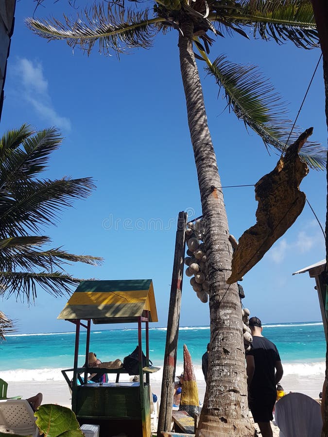 Beach Bar with Palm Trees on the Beach Editorial Stock Image - Image of ...
