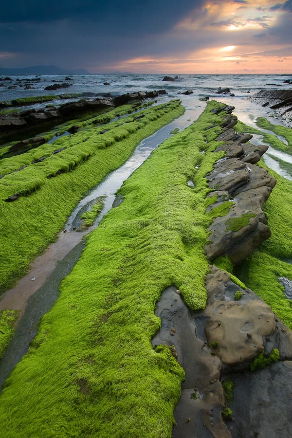 Beach of Barrika stock photo. Image of perspective, natural - 21039588