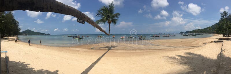 Beach editorial photography. Image of long, tree, beach - 123144032