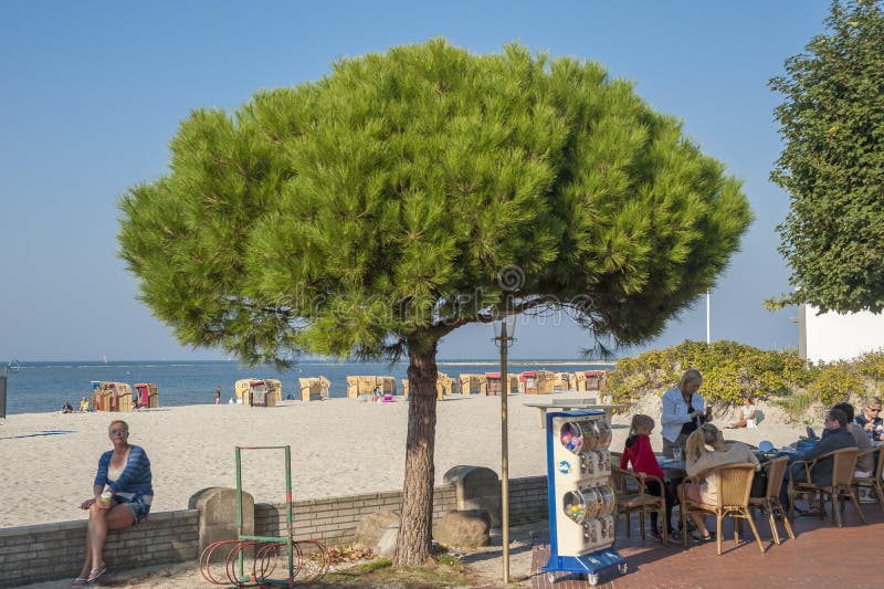 Beach in Laboe editorial photo. Image of holiday, deckchair - 116090101