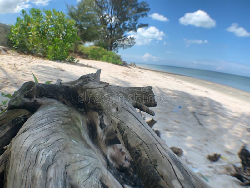 Beach stock image. Image of wood, noon, holiday, vacation - 274650493