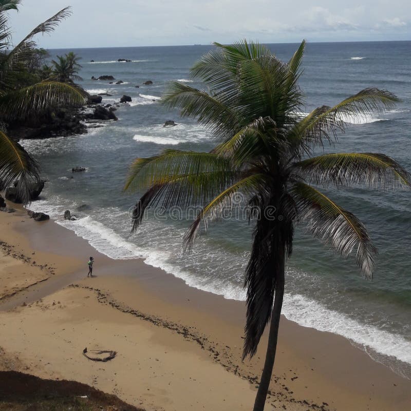 Looking down on perfection editorial photography. Image of beauty ...