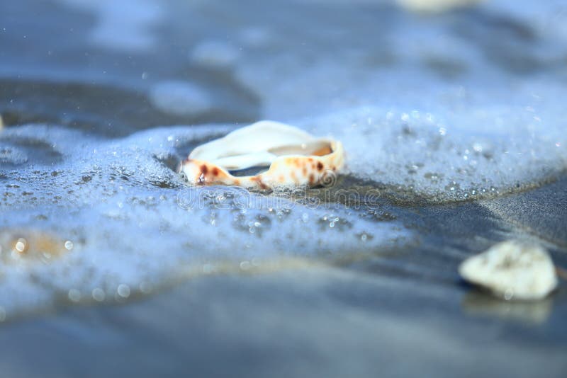 The Beach and and the Beauty of the Shell House Stock Photo - Image of ...