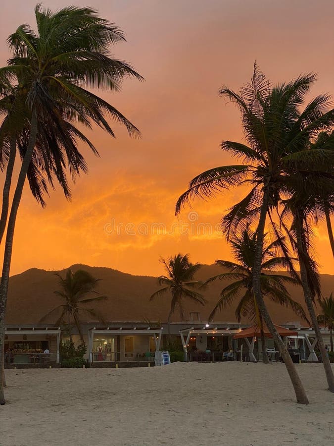 Beach Beauty Sun Caribe Hot Stock Photo - Image of caribe, beach: 355501826