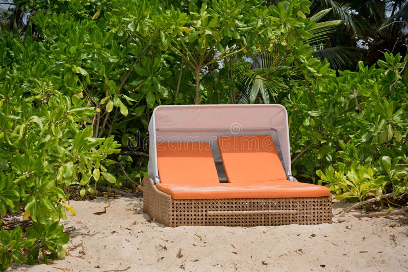 Beach Bed on White Sand among Palm Trees Stock Photo - Image of outdoor ...