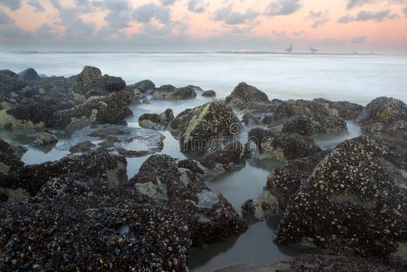 Beach in Belgium stock image. Image of feature, wave - 89508573