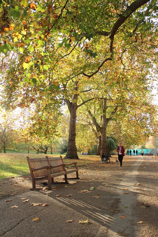 Beach editorial photo. Image of walking, bench, cosy - 51938371