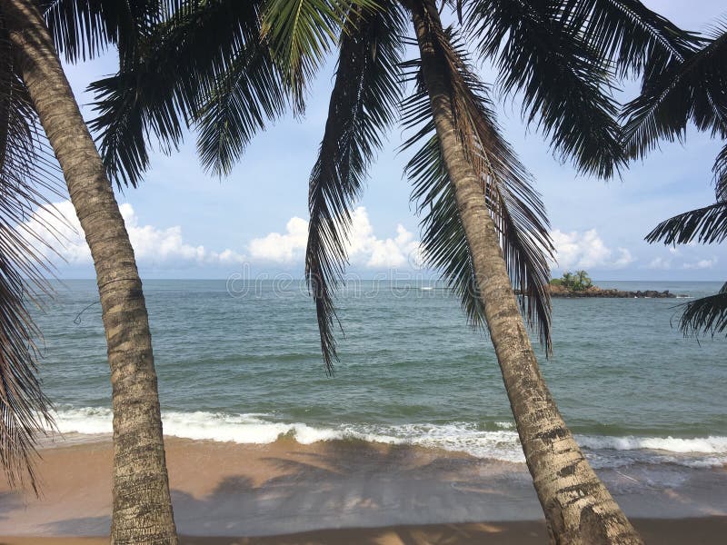 201 Beruwala Beach Stock Photos - Free & Royalty-Free Stock Photos from ...