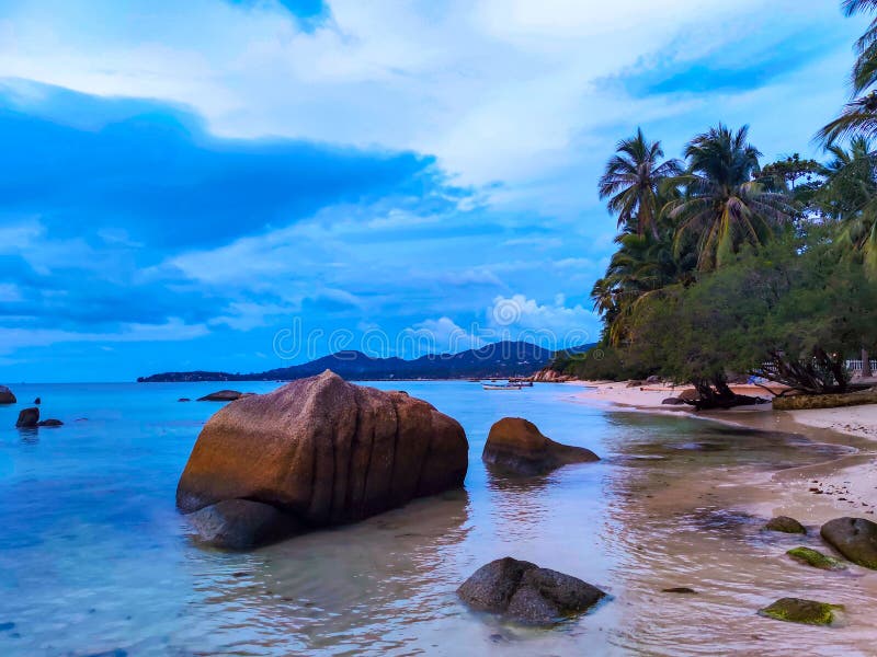 Beach with Big Rocks, Trees and Blue Sky Stock Image - Image of terrain ...