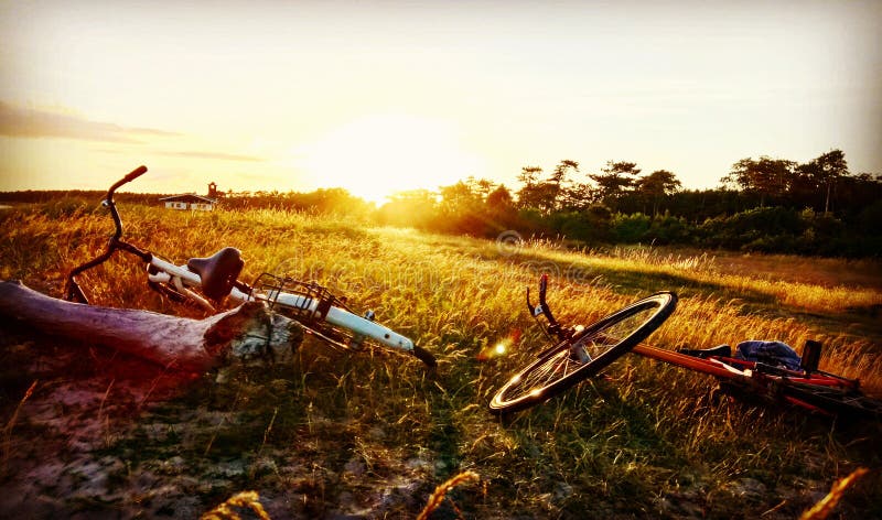 Beach biking stock image. Image of biking, beach, relax - 74510985