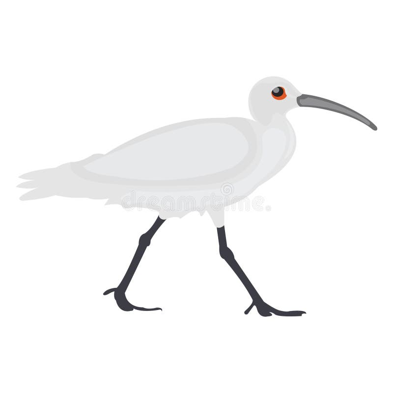 Beach Bird Icon Cartoon Vector. Sea Fly Stock Vector - Illustration of ...