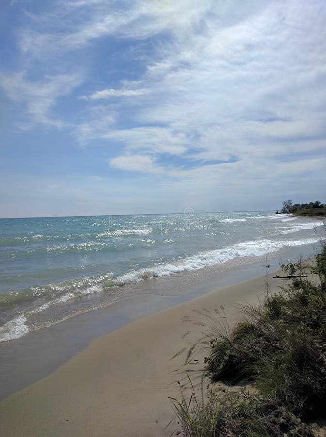 15,122 Beach Greenery Photos - Free & Royalty-Free Stock Photos from ...