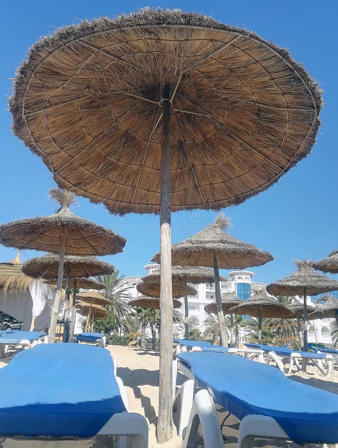 Beach with Blue Sun Beds and Parasols Stock Photo - Image of climate ...
