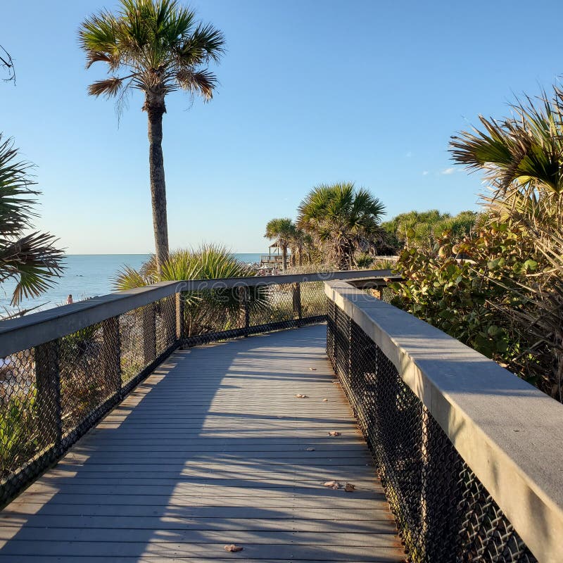 Beach Boardwalk in florida stock image. Image of ocean - 211353437
