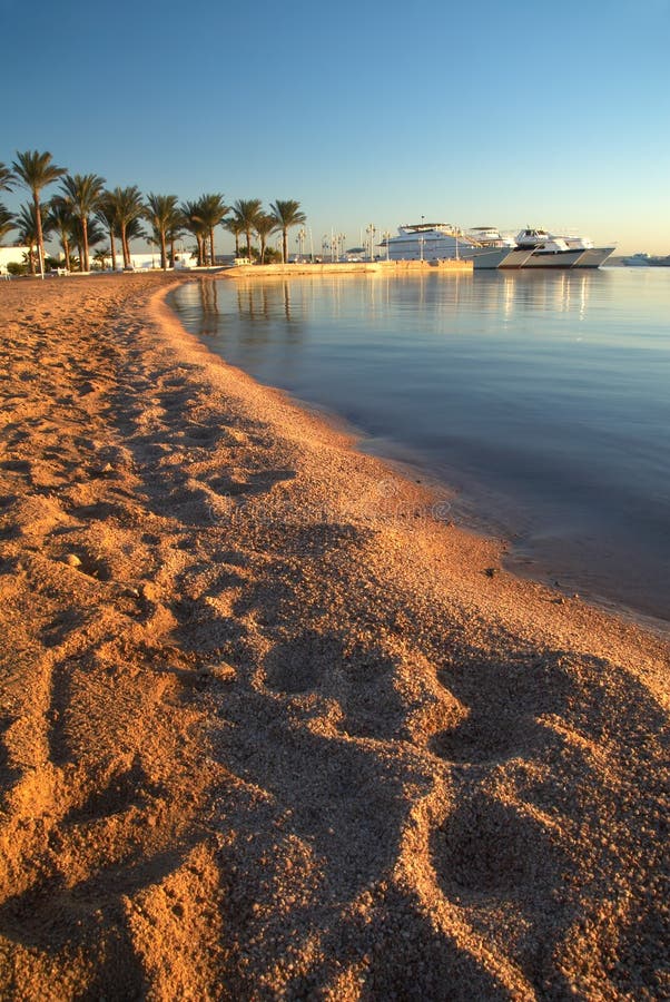 Beach And Boats Picture. Image: 5220792