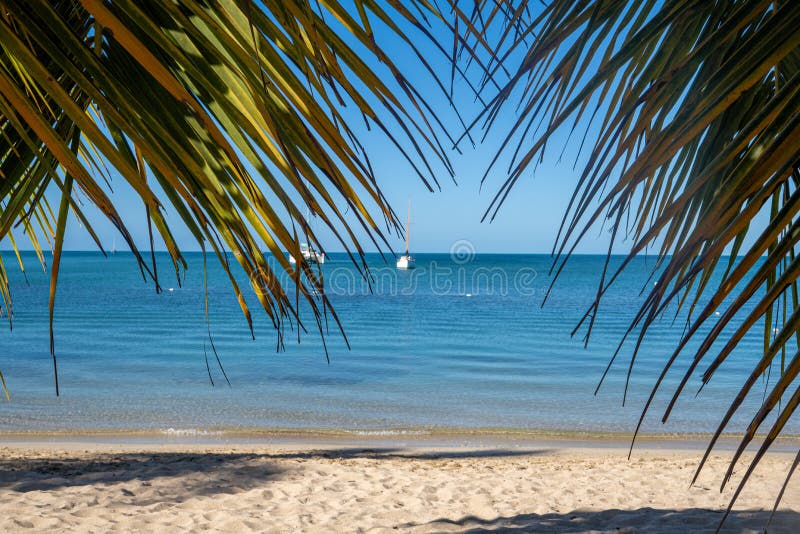 Beach Boqueron Puerto Rico stock image. Image of beach - 242577813