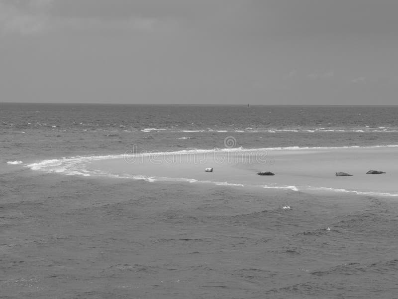 The Beach of Borkum in the German North Sea Stock Image - Image of ...