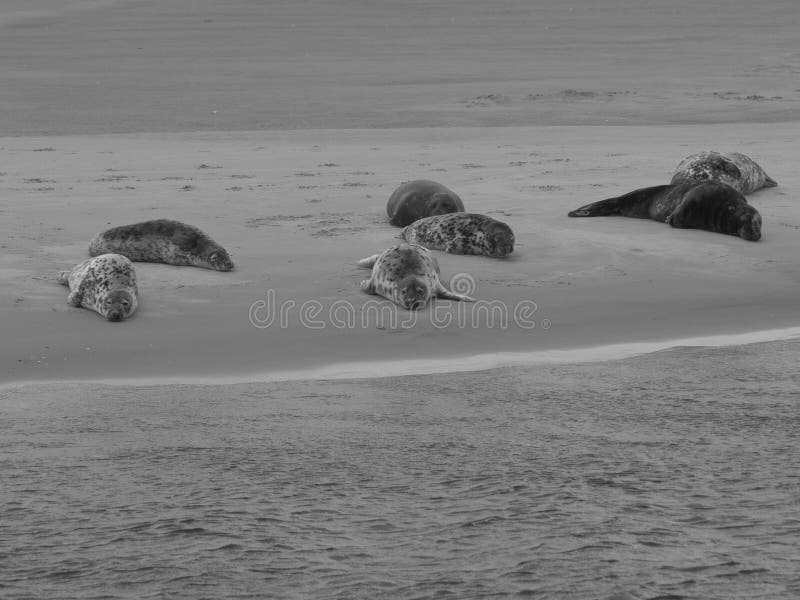 The Beach of Borkum in the German North Sea Stock Photo - Image of ...
