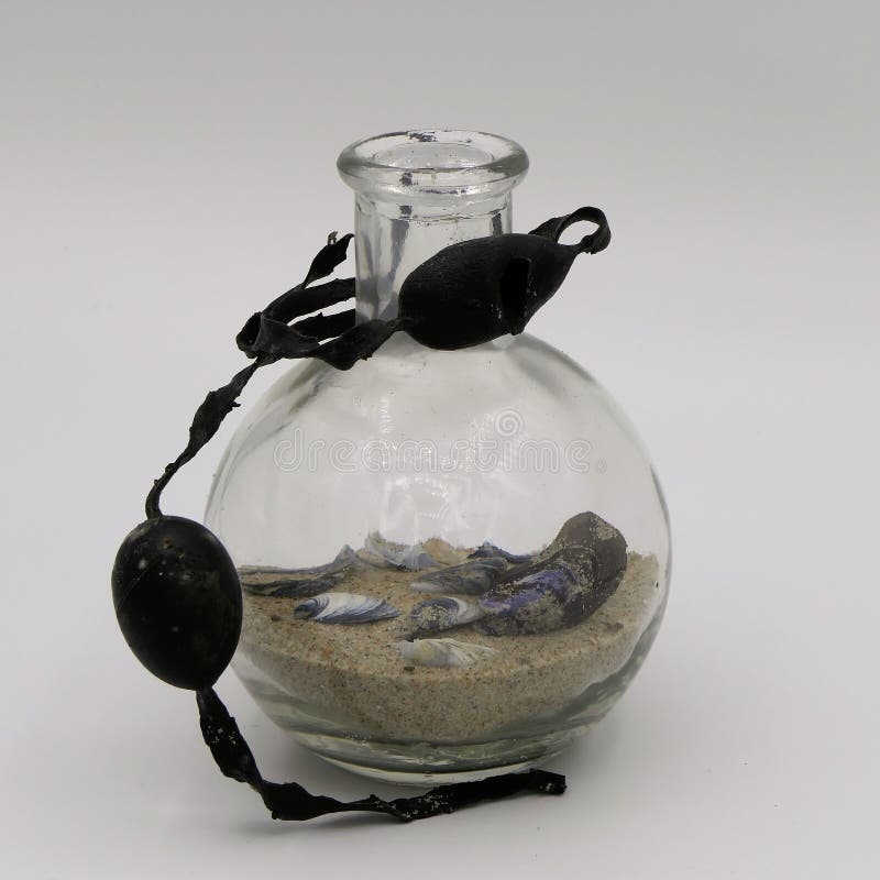 Beach in a bottle stock photo. Image of object, small - 176473942