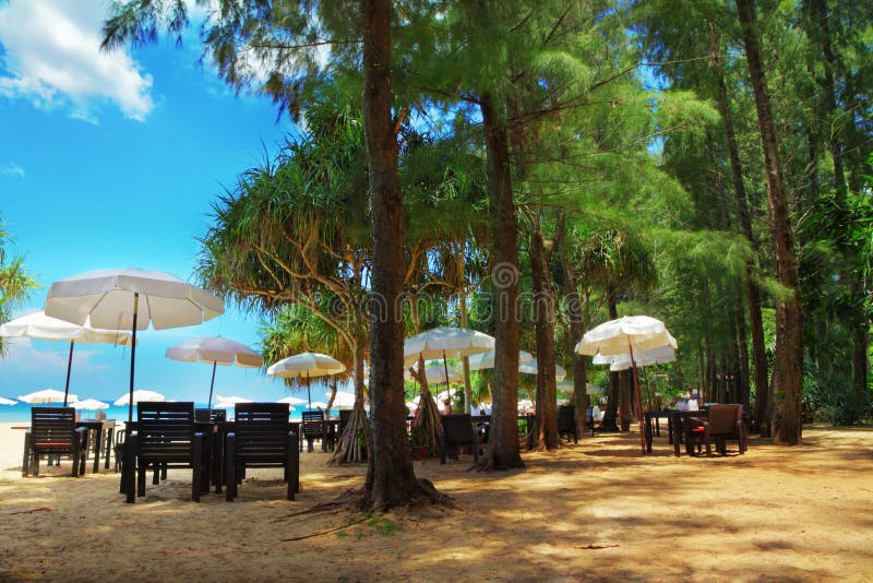 Beach cafe stock image. Image of idyllic, pacific, green - 15916299