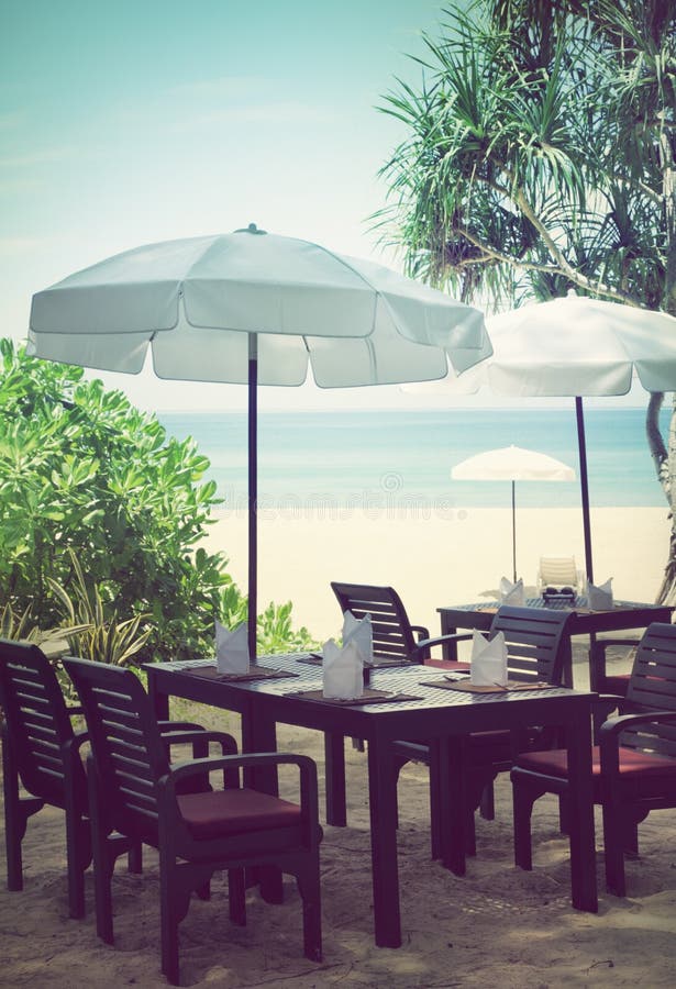 Beach cafe stock photo. Image of beachbar, meal, beautiful - 15393502