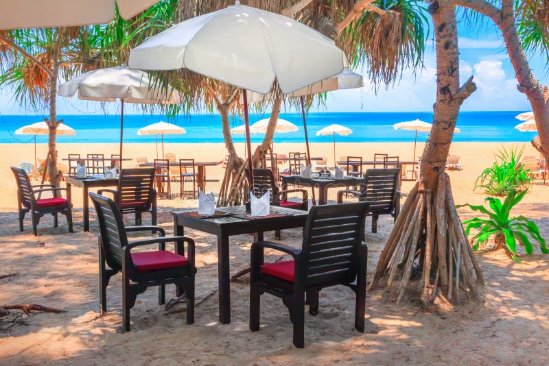 Beach cafe stock photo. Image of beachbar, meal, beautiful - 15393502