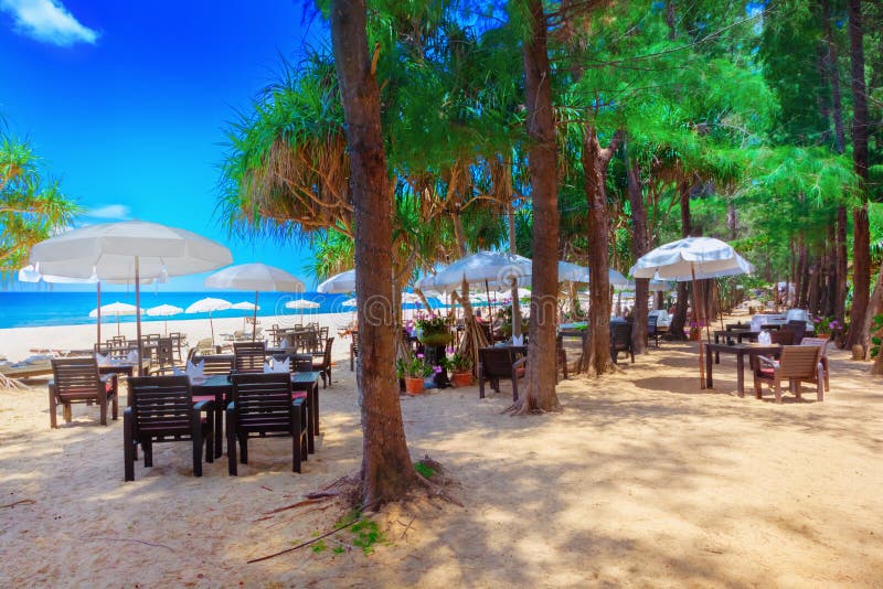 Beach cafe stock photo. Image of beachbar, meal, beautiful - 15393502