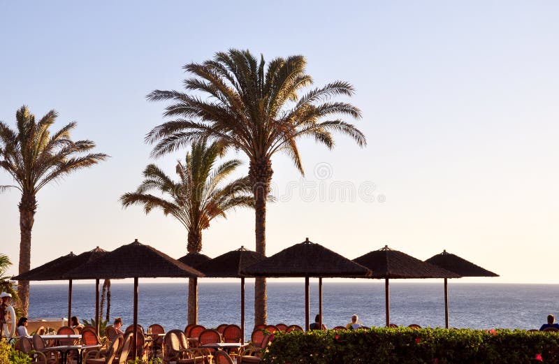 Beach Cafe in a Sunset Light Editorial Image - Image of sunset, trees ...