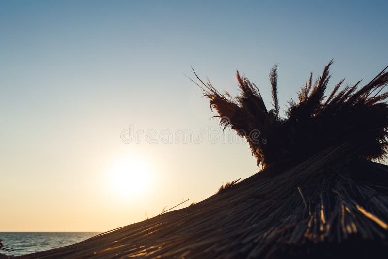 Beach Cane Umbrella at Sunset. Stock Photo - Image of evening, roof ...