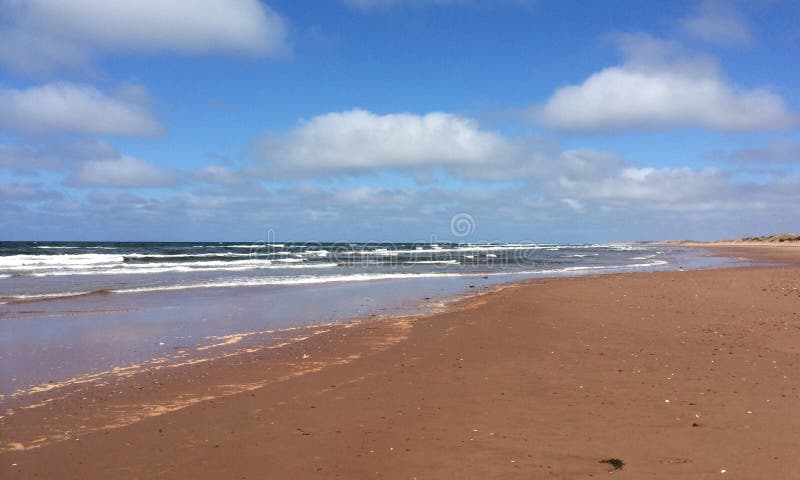 Beach at Cap Cod stock image. Image of water, beach, bleu - 49636773