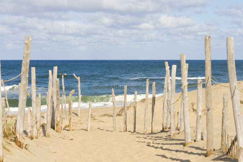 Beach at Cape cod stock photo. Image of coastline, cape - 7868238