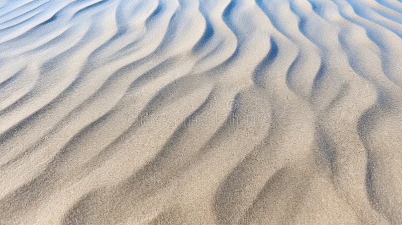 Beach Carpet Very Beautiful Light Sand Summer Vacational Background ...