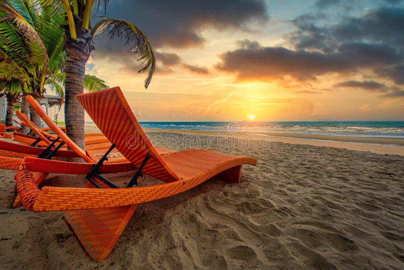 Beach Chairs and Coconut Palm Tree on the Tropical Beach at Sunset ...