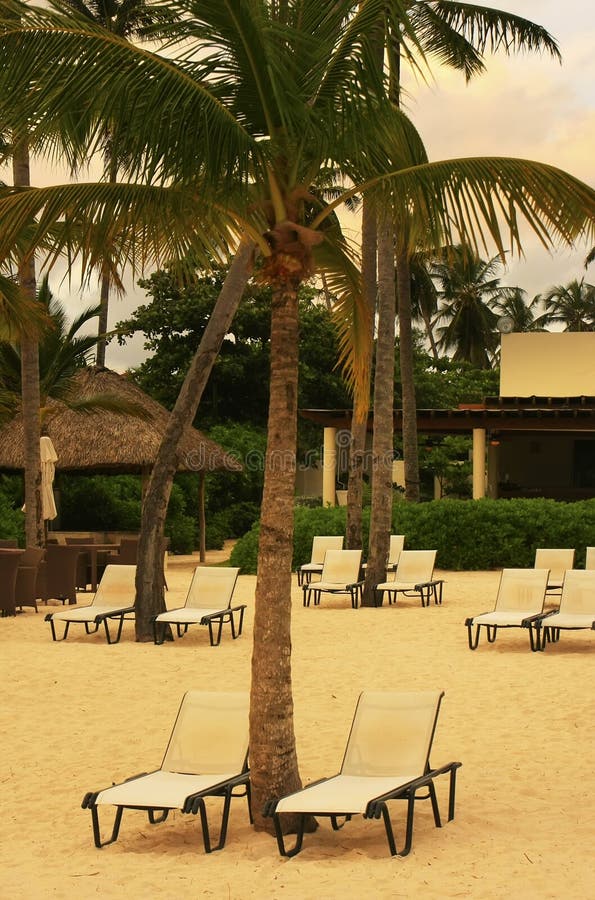 Beach Chairs and Palm Trees on a Beach Stock Photo - Image of sunset ...