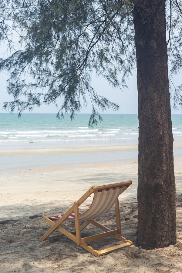 Beach Chairs on the Seaside Under Pine Trees Stock Image - Image of ...