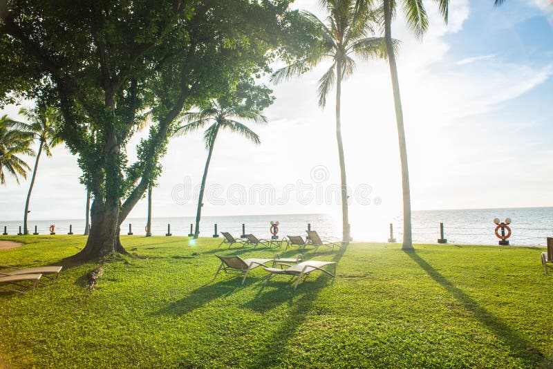 Beach Chairs Under The Palm Tree Viewing The Sunset Stock Photo - Image ...