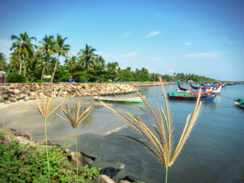 Chellanam Stock Photos - Free & Royalty-Free Stock Photos from Dreamstime