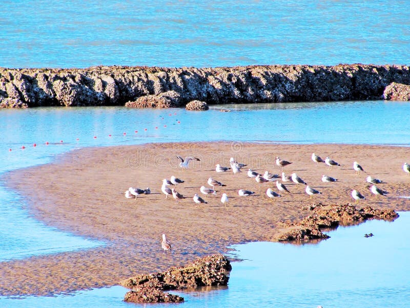 Beach of Chipiona in Cadiz stock photo. Image of evening - 90618428