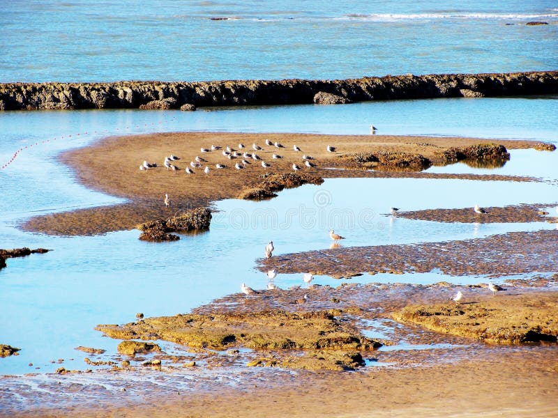 Beach of Chipiona in Cadiz stock image. Image of afternoon - 90618469