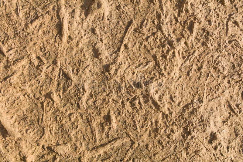 Beach clay rock stock image. Image of sand, island, tree - 274888897