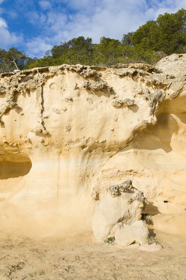 Beach clay rock stock photo. Image of tree, spain, mallorca - 274888914
